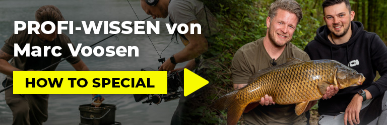 Account discounts - twelve ft. PRO